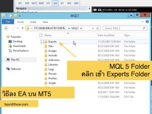 วิธี install EA บน MT5 ล่าสุด 2021 - เล่าเรื่องเทรด