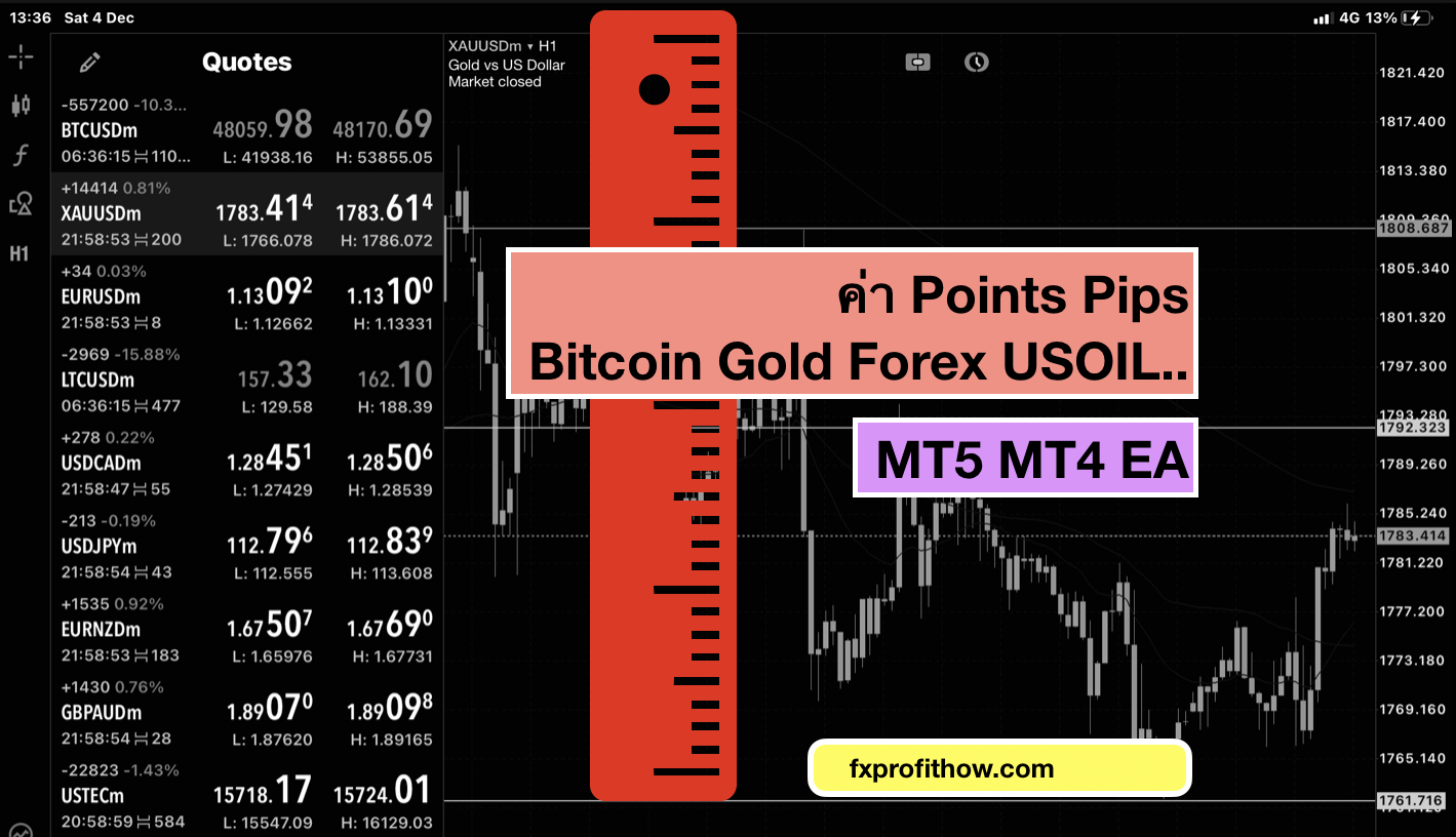 ค่า points pips บนกราฟราคา ของ forex ทอง bitcoin น้ำมันดิบ อื่นๆ - เทรด ...
